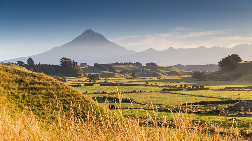 Taranaki Regional Risk Advice | FMG Insurance